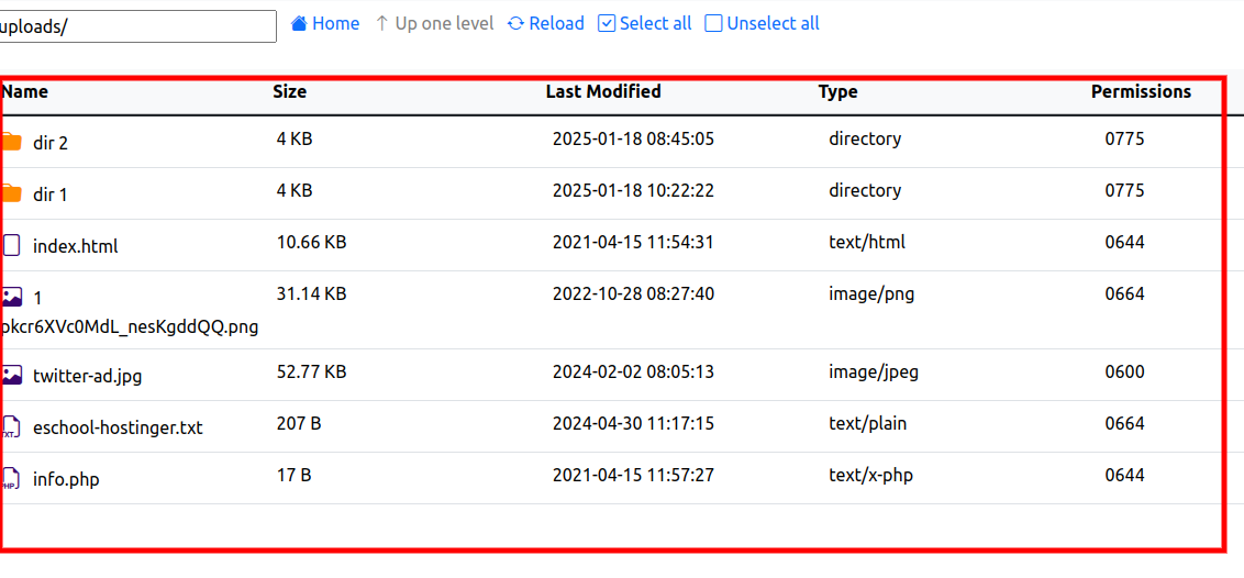 Building Simple File Manager With Laravel and Vue 3 Part2 - Webmobtuts